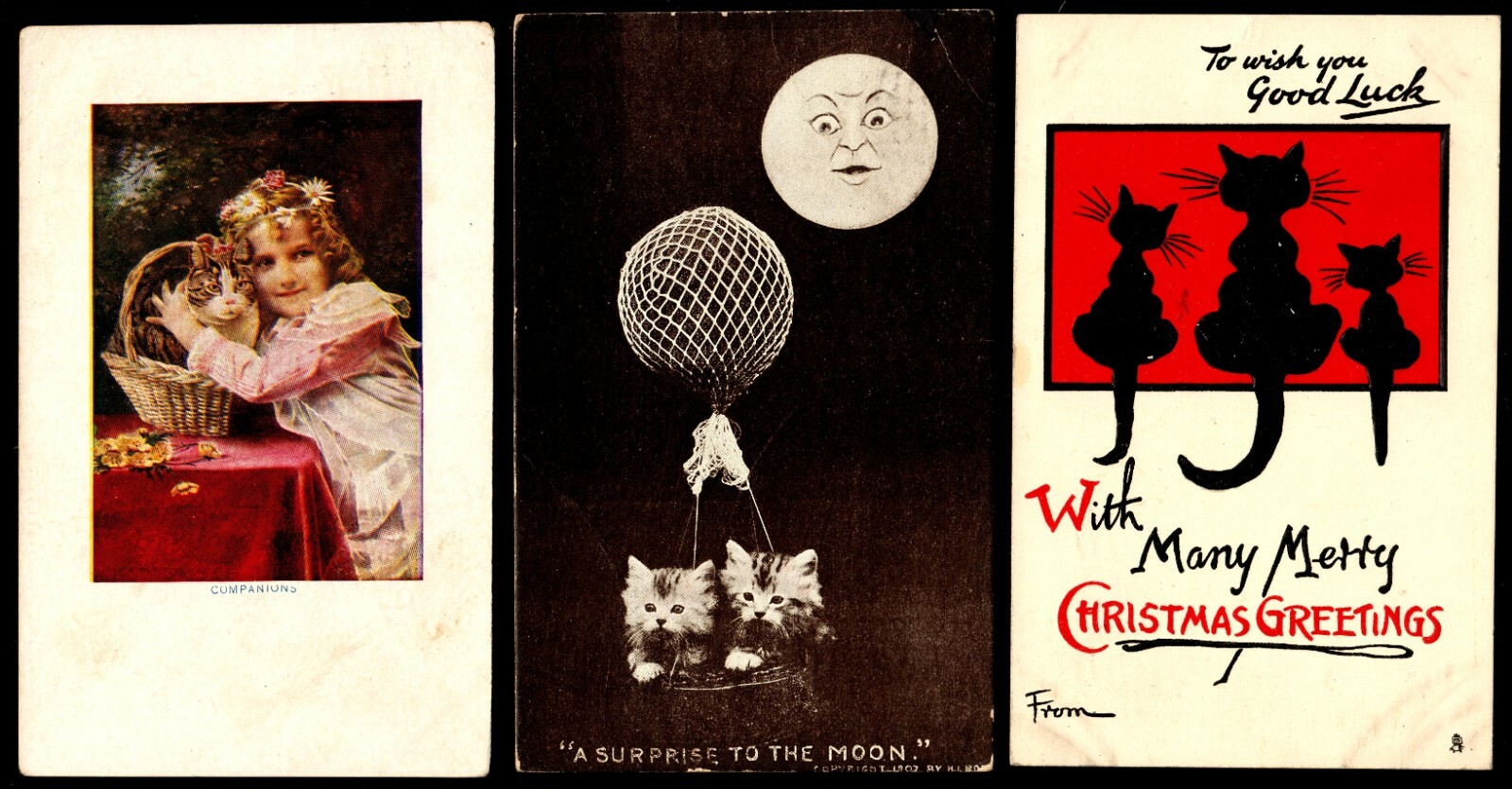 US Postcards. Vintage ~1900-1910, CATS (65) Grade 2 Posted – Flylabel